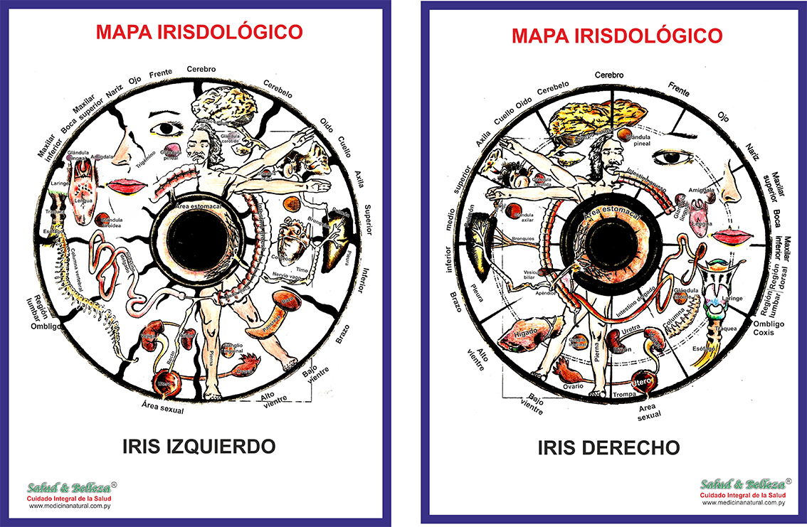 CURSO DE IRIDOLOGIA PROFESIONAL – CENTRO NATURISTA